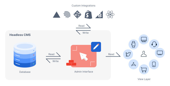 Directus | Your Ultimate Partner for Content Scalability